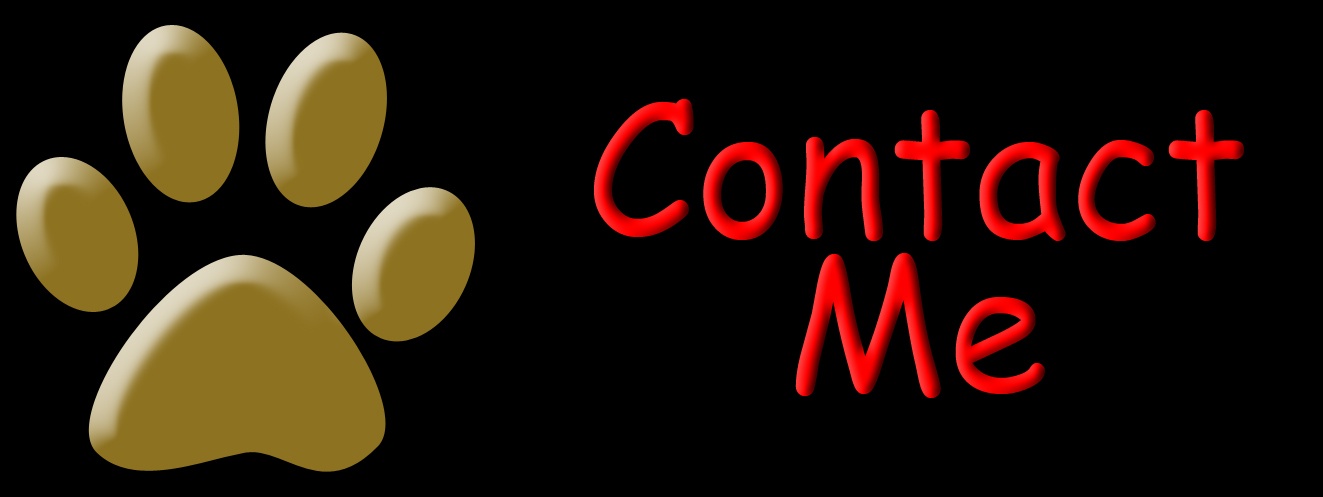 professional-contact us | Free Word Templates